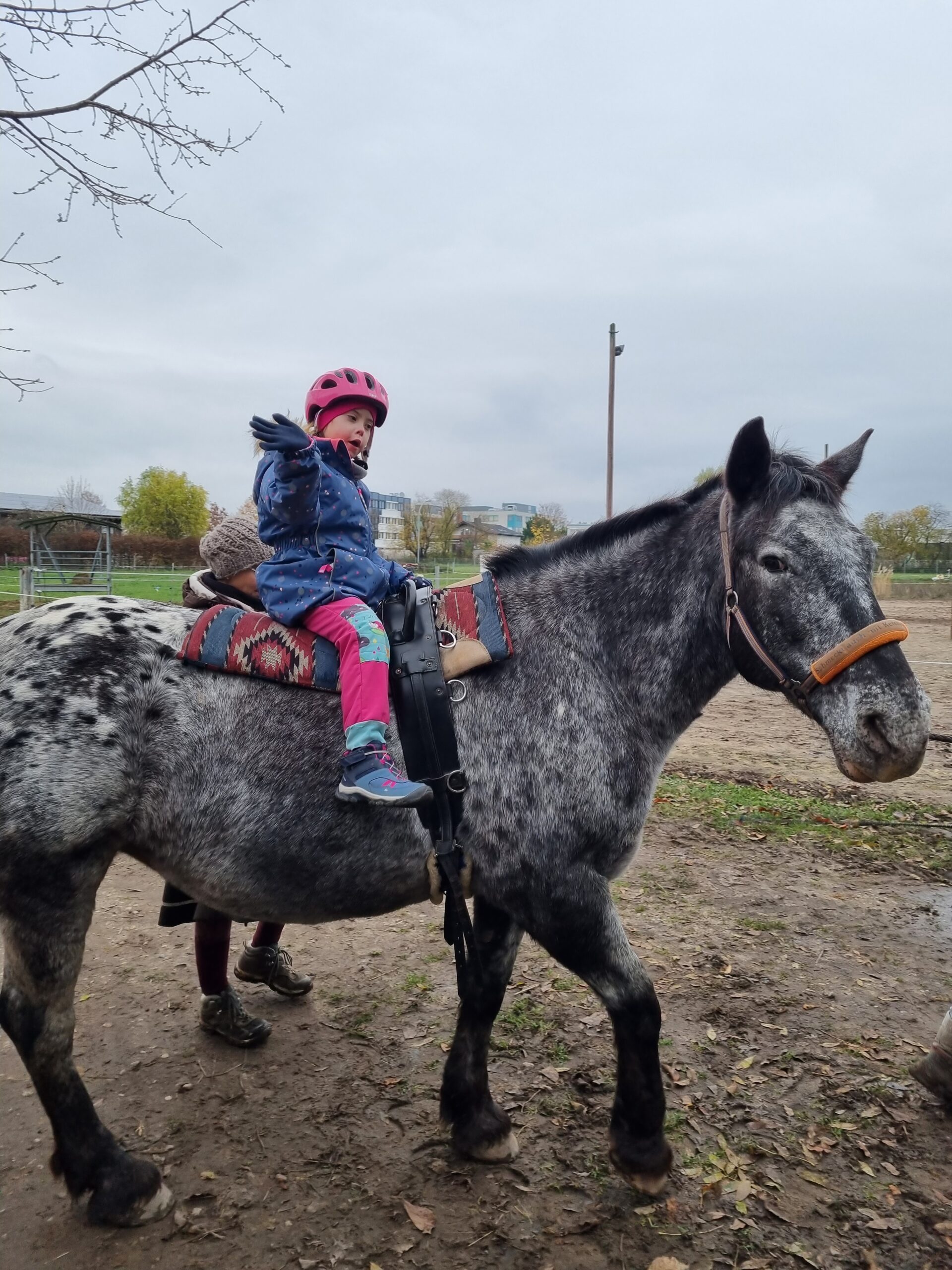 Hippotherapie für Emma Rosa - Strassheimer Stiftung